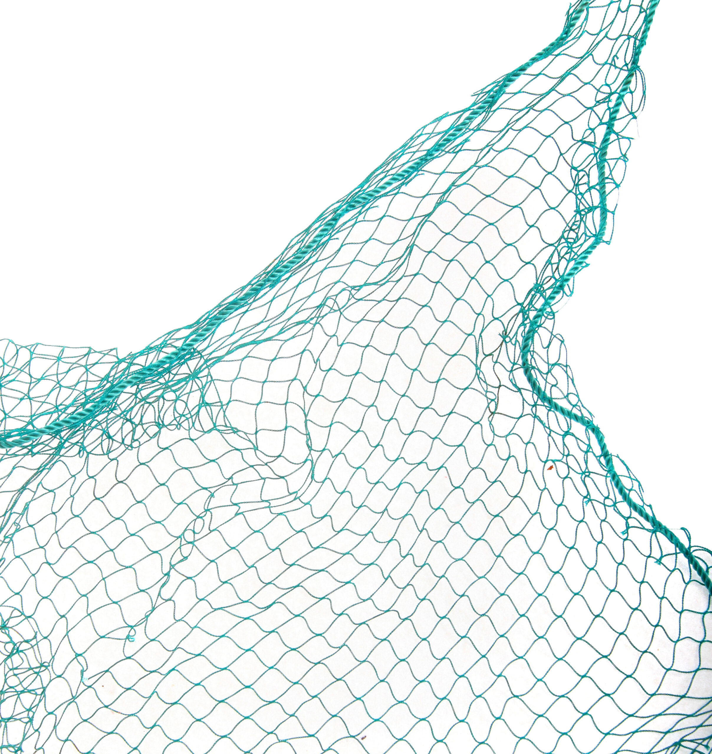 A Light Catch - Triumphant Love Lutheran Church